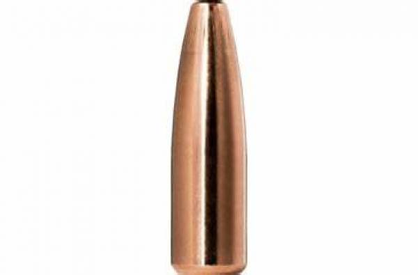 Armurerie Municentre » RECHARGEMENT. » 5- Balles pour Fusils et ...